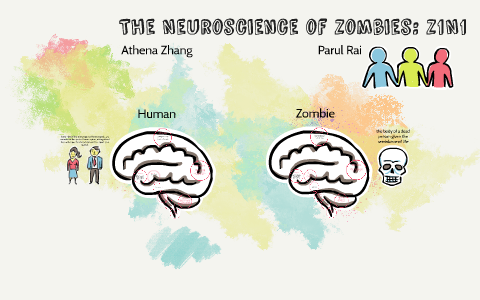The Neuroscience of Zombies by Athena Zhang on Prezi