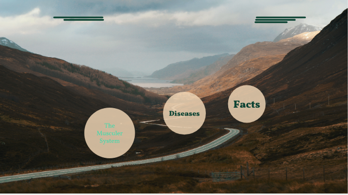 Musculer system by kayla nolen on Prezi