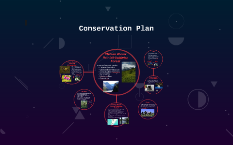 Conservation Plan by Shannon Wilson on Prezi