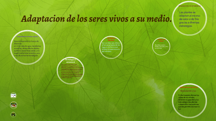 Adaptacion de los seres vivos a su medio. by Balmore Hernandez