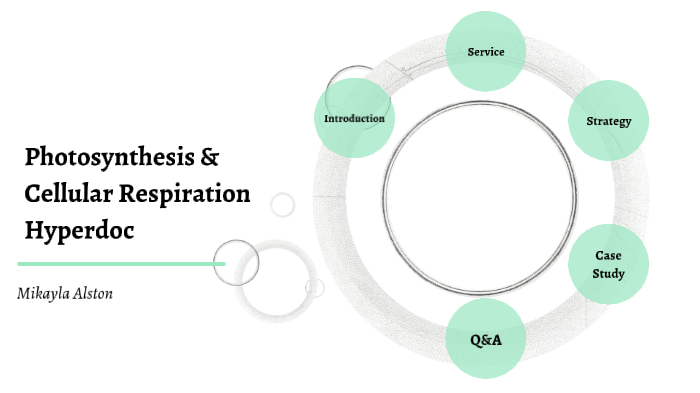 Mikayla Alston-Photosynthesis & Cellular Respiration Hyperdoc by ...