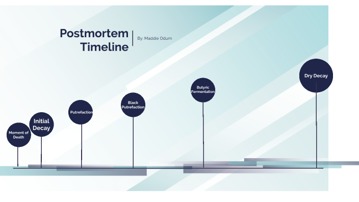 Postmortem Stages Timeline by maddie odum on Prezi