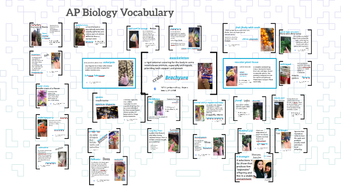 AP Biology Vocabulary by Azia Alvarez on Prezi