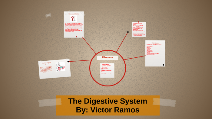 The Digestive System by victor ramos on Prezi
