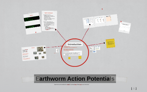 Earthworm Action Potentials by Olivia Smith on Prezi
