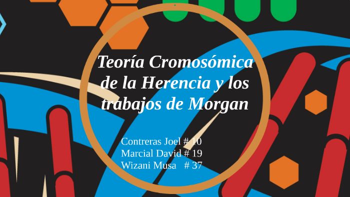 Teoria Cromosomica de la Herencia y los trabajos de Morgan by musa ...