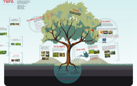 Flora En El Perú by Silvana Benavides on Prezi
