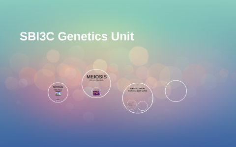 SBI3C Genetics Unit by Suzanne Hamilton on Prezi
