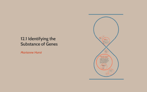 12. 1 Identifying the Substance of Genes by on Prezi