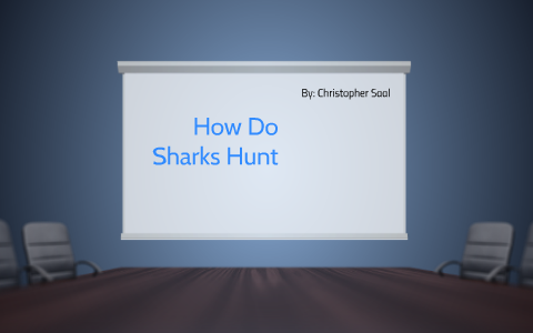 How Do Sharks Hunt by on Prezi