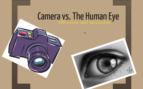 Camera vs. Human Eye by Charlene Chow on Prezi