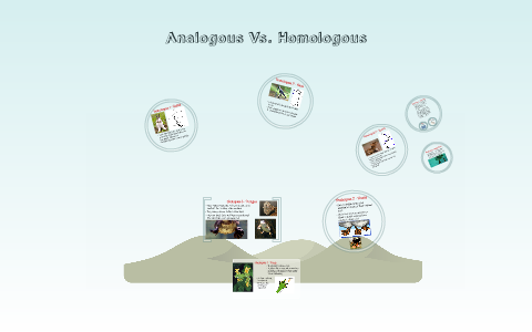 Analogous Vs. Homologous by Henry Brian on Prezi