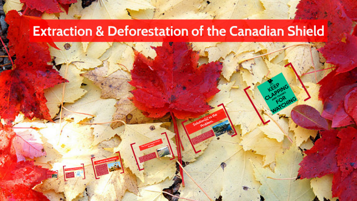 Extraction & Deforestation of the Canadian Shield by Peyton Crenchaw on ...