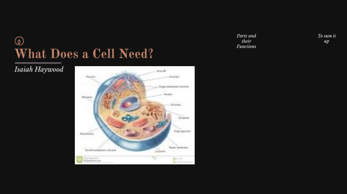 What Does a Cell Need? by alexis miron on Prezi