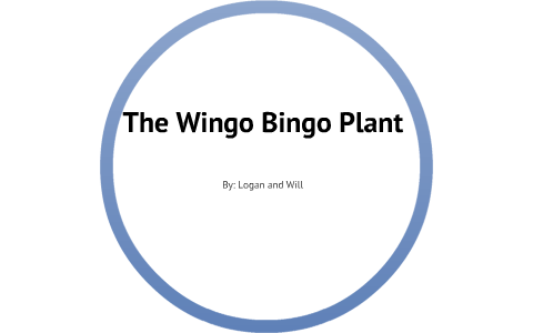 The Wingo Bingo Plant by logan boehm on Prezi