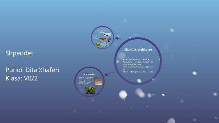 Shpendët by dita xhaferi on Prezi