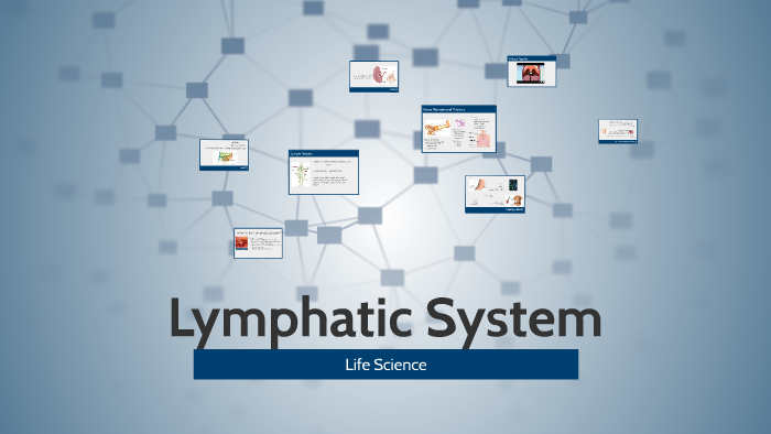 Lymphatic System by Justin Ruch on Prezi