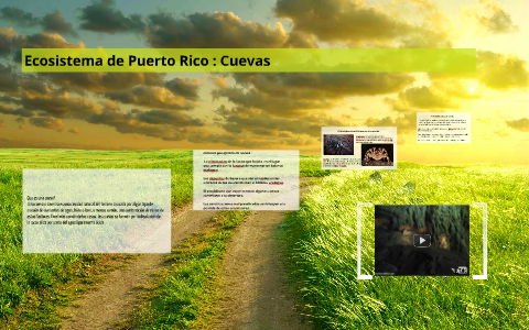 Ecosistema de Puerto Rico : Cuevas by genesis colon on Prezi