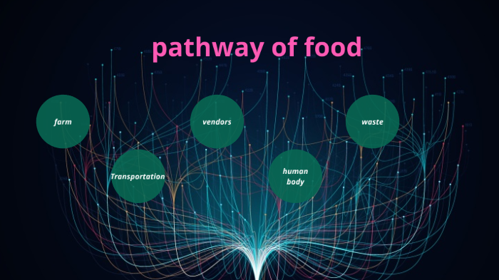pathway of food by EDWIN PEREZ on Prezi