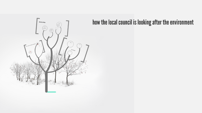how the local by alex celik on Prezi