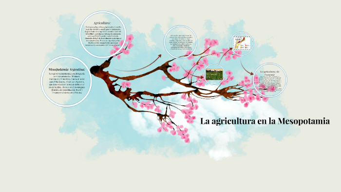 La agricultura en la Mesopotamia by Sofia Cassin on Prezi