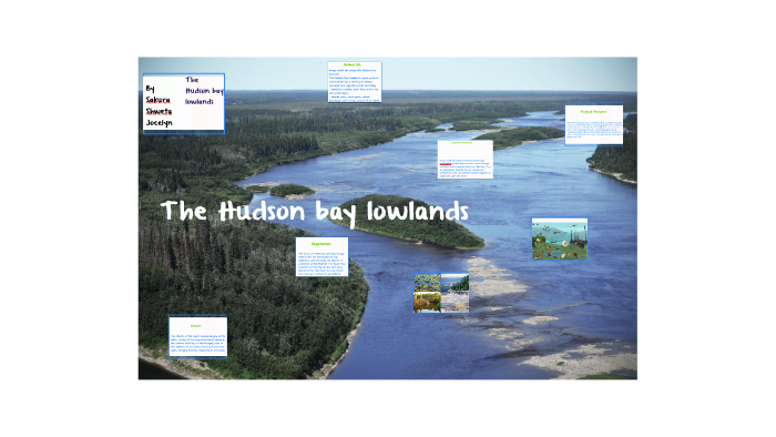 The hudson bay lowlands by cadence mcqueen