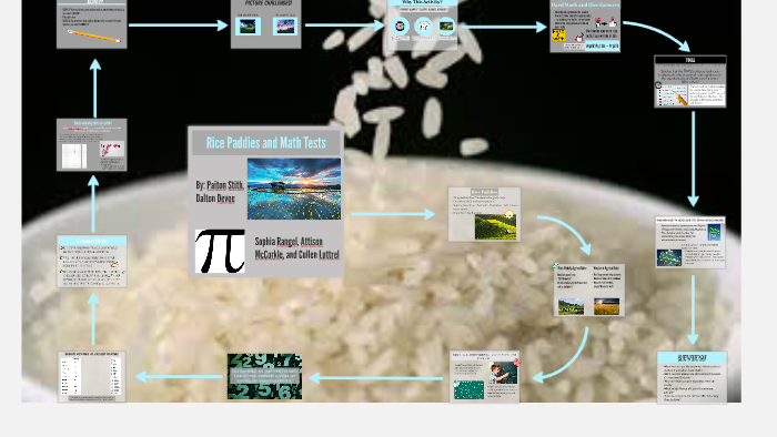Rice Paddies and Math Tests by Paiton Stith on Prezi