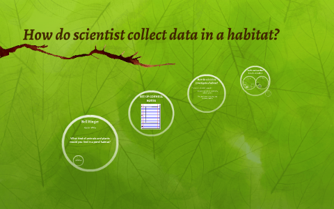 How do scientist collect data in a habitat? by Anamaria Ziettlow on Prezi