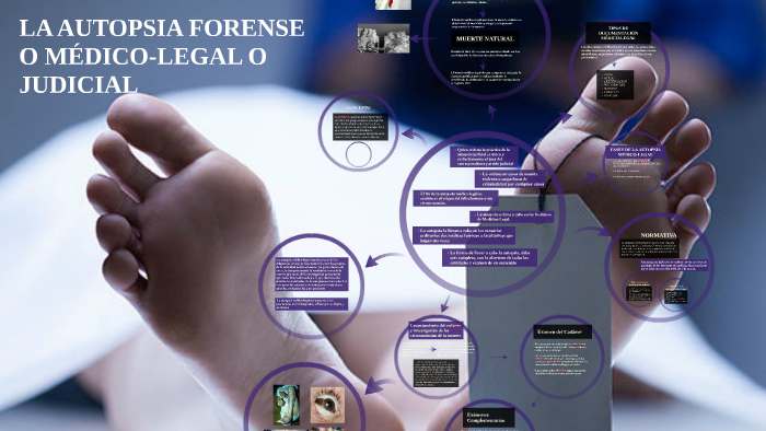 LA AUTOPSIA FORENSE O MÉDICO-LEGAL O JUDICIAL by Daniel Cejudo on Prezi