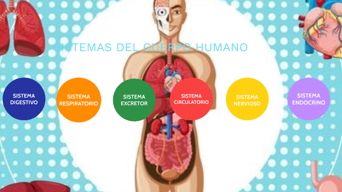 Ciencias by bryan restrepo on Prezi