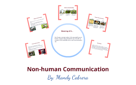 Non human communication. by Mandy Cabrera on Prezi