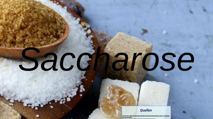 Saccharose by Lisa Noetzel on Prezi