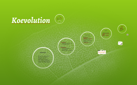 Koevolution by Freddy loves Freddy