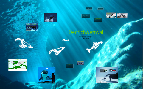 Der Schwertwal (Orca) by Patricia Egert on Prezi