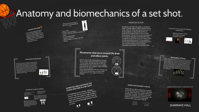 The anatomy and biomechanics used in a set shot by Sharnaye Hall on Prezi