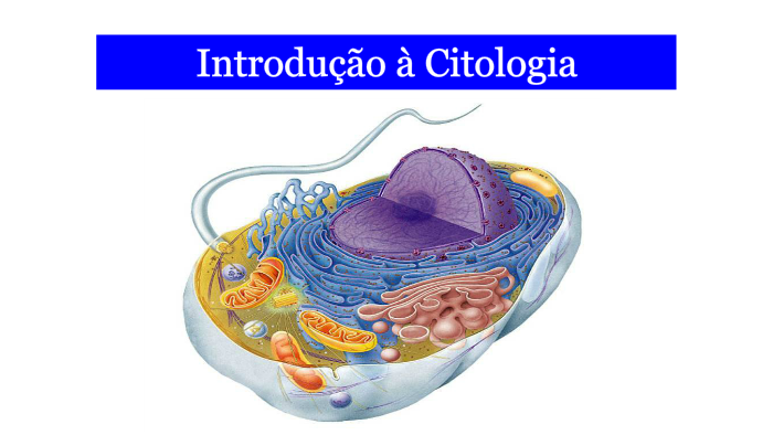 CITOLOGIA COMPLETO by Marcio Felix on Prezi