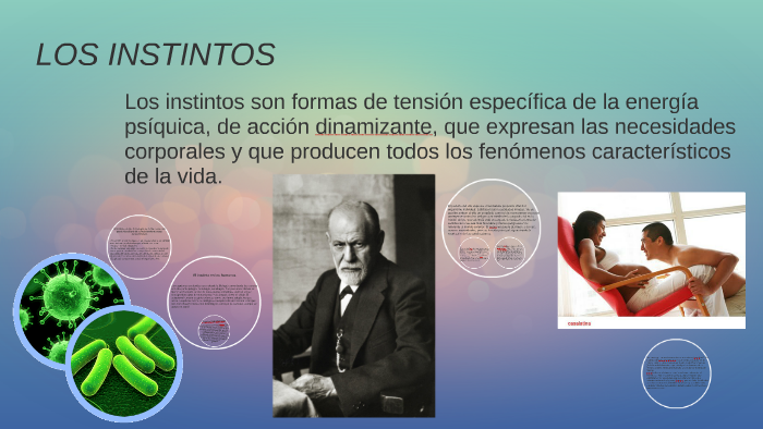 El instinto, desde la biología, se define como una pauta her by Maria ...