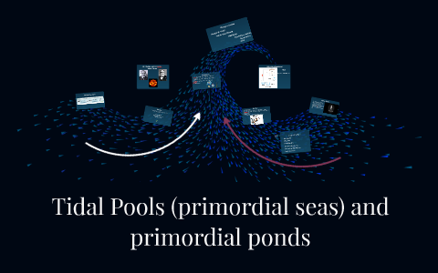 Tidal Pools (primordial seas) and primordial ponds by Mikala Menegio on ...