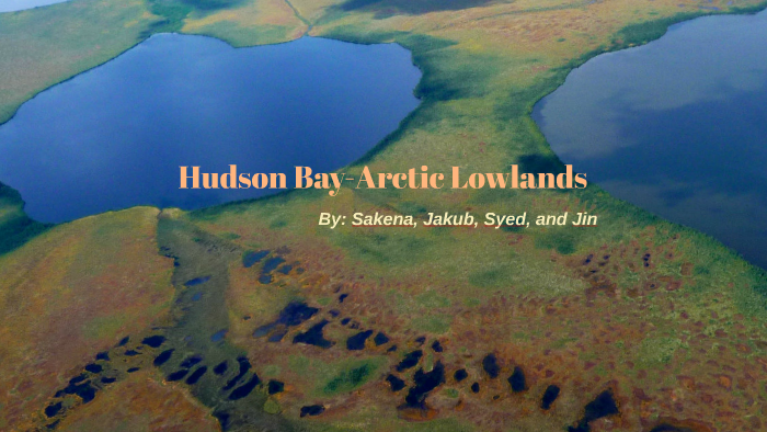 Hudson Bay-Arctic Lowlands by Sakena Baig on Prezi