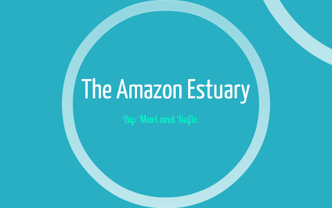 The Amazon Estuary by Mari MacDonald on Prezi