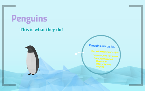 Penguins by Alexa Keyser on Prezi