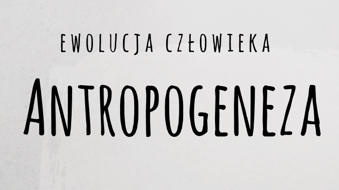 Antropogeneza - ewolucja człowieka by Karolina Kapera on Prezi