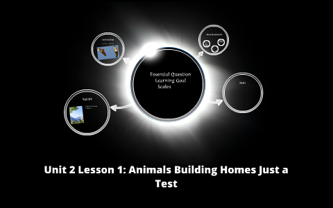 Unit 2 Lesson 1: Animals Building Homes by Diane Swenson on Prezi
