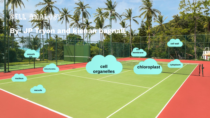 cell analogy: tennis court by Joshua Tryon on Prezi