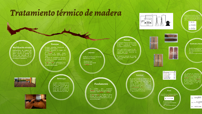 Modificación térmica de madera by Maite Agostina Amilivia Ramos on Prezi