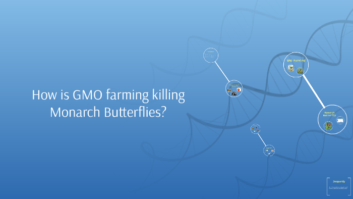 How is GMO farming killing Monarch Butterflies? by H K on Prezi