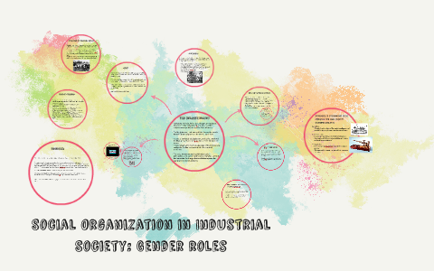 Social Organization in Industrial Society: Gender Roles by Claire ...