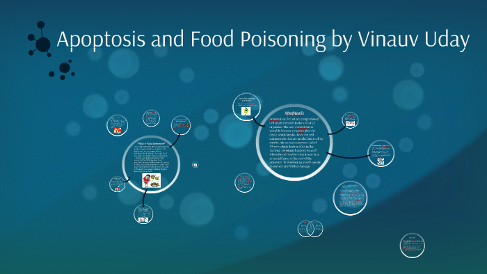 Apoptosis and Food Poisoning by Vinauv Uday by Vinauv Uday on Prezi