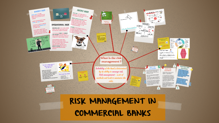 RISK MANAGEMENT IN COMMERCIAL BANKS by Anna Ninn on Prezi