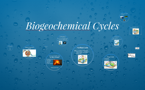AP Biology Biogeochemical Cycles by Jeana Albers on Prezi